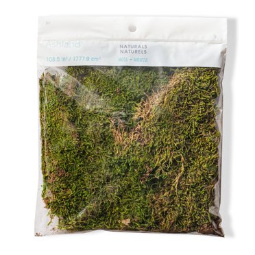 Moss Pot Toppers 12" 3/PkgGreen - Walmart.com
