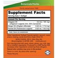 NOW Foods, Oregano Oil, 90 Capsules, Enteric Coated Softgels Pack of 2 ...