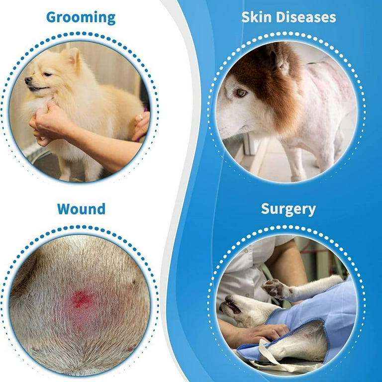 Dog Skin Infection Under Collar | ppgbbe.intranet.biologia.ufrj.br