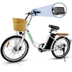 Hyper 20in Ultra 40 Step-Thru Electric Bike, 250W E-Bike Motor, Fat ...