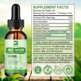 Beworths Organic Sea Moss Liquid Drops 10000mg, Immune, Thyroid, Joint ...