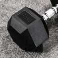METIS Hex Dumbbells [Pair] | Premium Rubber-Coated Free Weights for ...