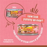 (24 pack) Purina Friskies Extra Gravy Chunky, Soft Salmon, Wet Cat Food ...