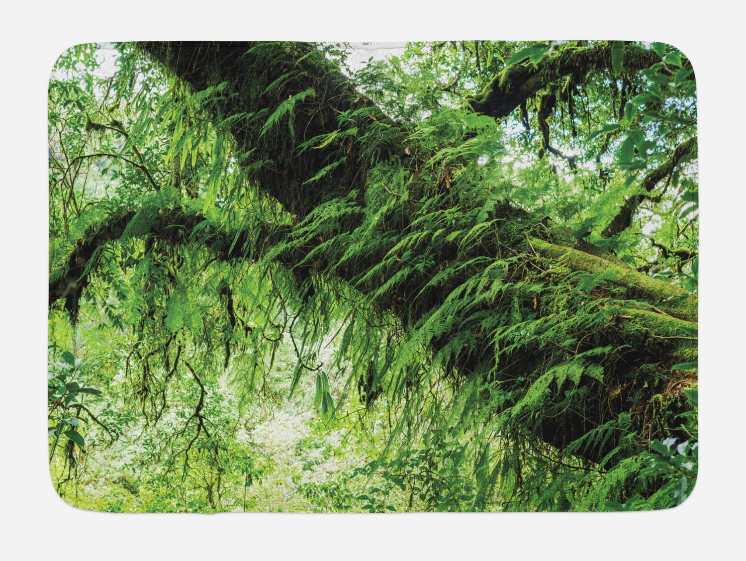 Rainforest Bath Mat, Idyllic Atmosphere in Tropical Jungle on ...