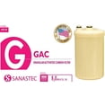 Kangen Enagic SD-501 Replacement Water Filter, HG-N Type (New Model ...