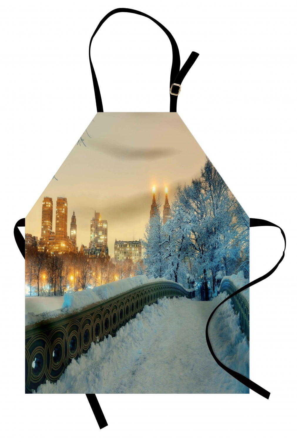 Winter Apron Central Park Winter Skyscrapers and Snow Bow Bridge ...