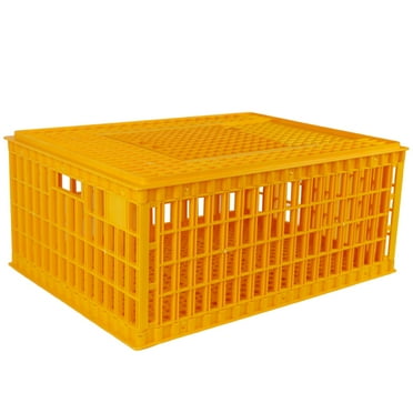 Rite Farm Products Large Poultry/Gamebird Transport Cage/Coop, Heavy ...