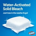 Clorox Zero Splash Bleach Packs, Regular Scent, 8.9 oz, 12 Count ...