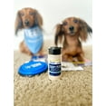 TEEF for Life - Lickable Prebiotic Dental Treat Powder for Dogs and ...
