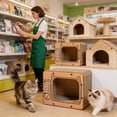 Cat Scratcher, Cardboard, With Tunnel And Bed, Suitable For Multiple ...
