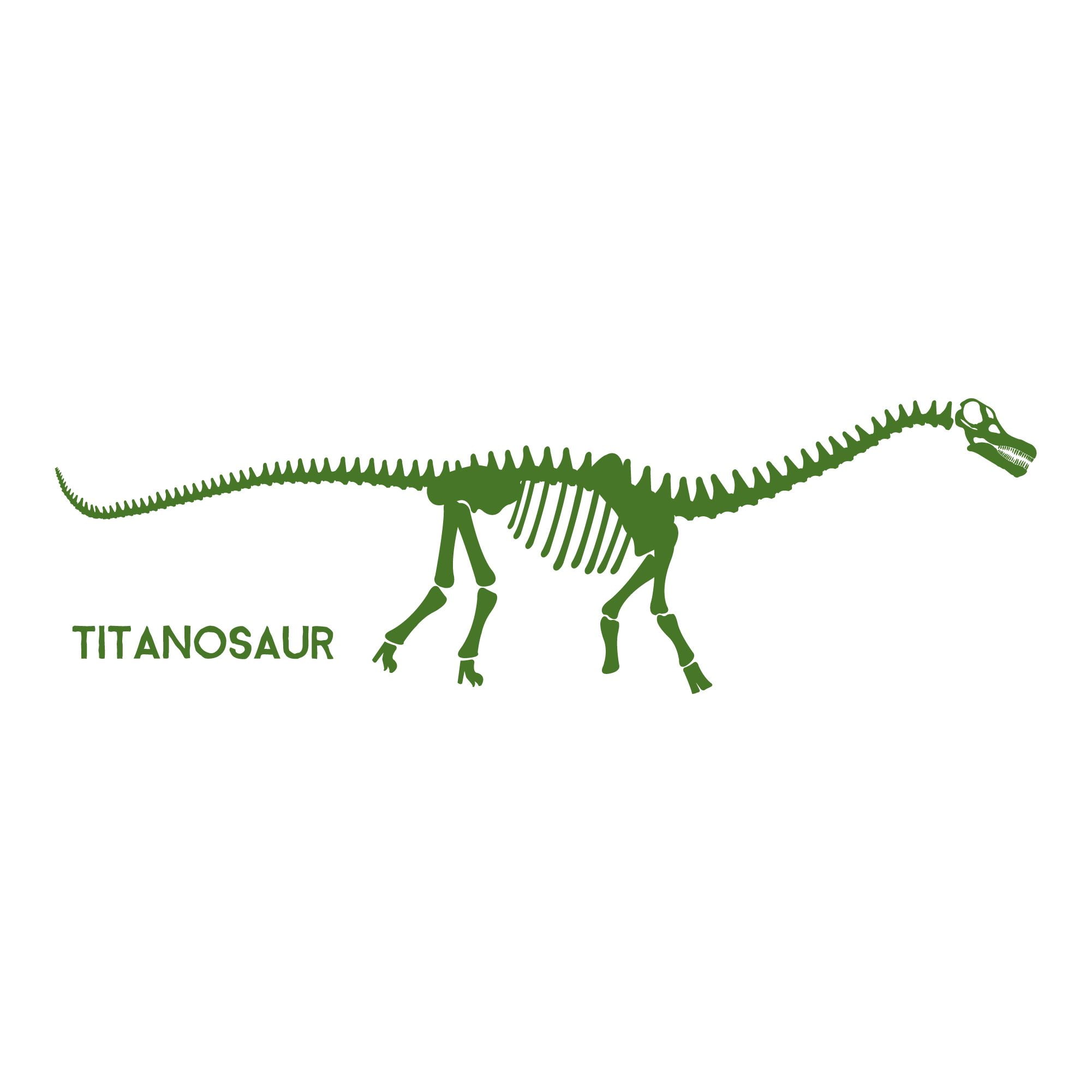 Titanosaur Dinosaur Skeleton Wall Art DesignWall Decal Decoration ...