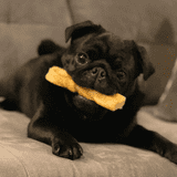 Doggo Dog Chew Natural Yak Cheese Long Lasting Dog Chew for Aggressive ...