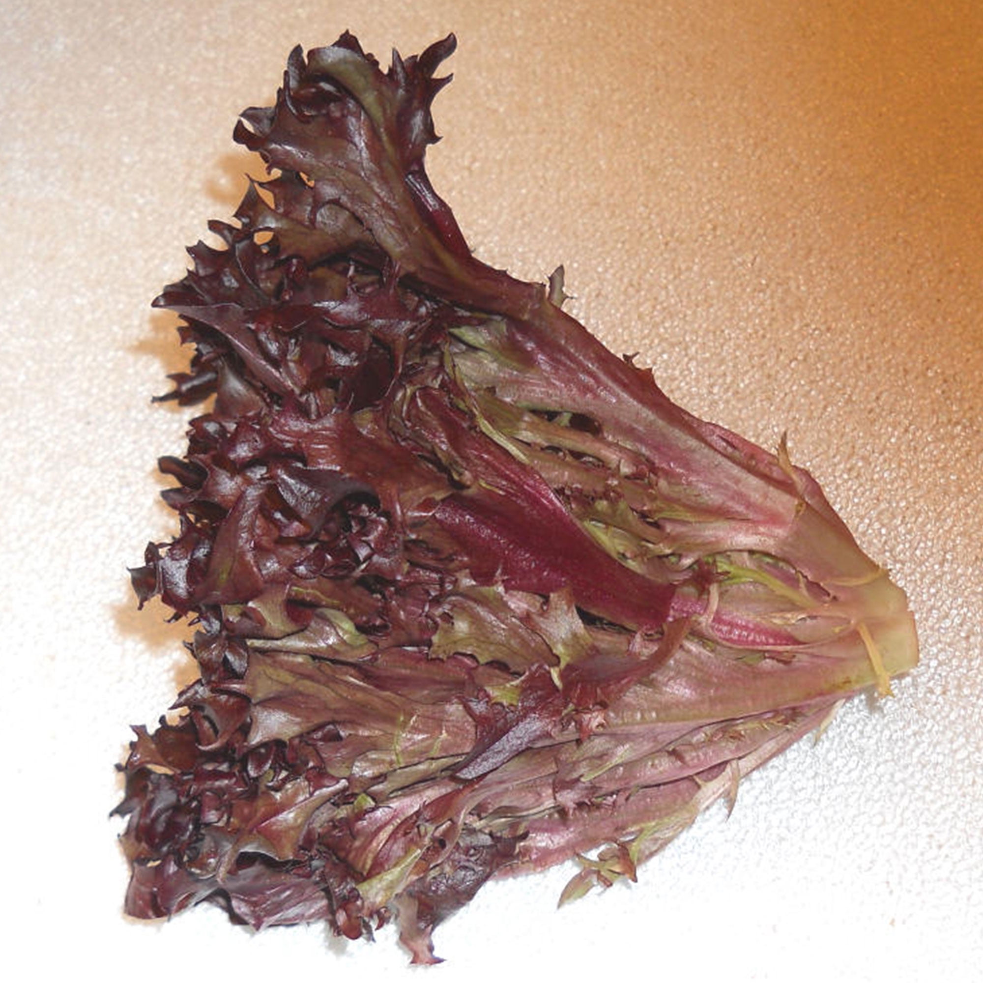 Lettuce Seeds, Leaf - Red Tango - 2 g Packet ~1750 Seeds - Non-GMO ...