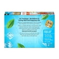 Pack of 6, Twining Tea Brew Over Ice Peach Iced Tea K-Cup® Pods, 1.26 ...