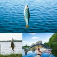 25 Saltwater Fishing Shot Rigs, Quick-Install Barbed Hooks with Swivels ...