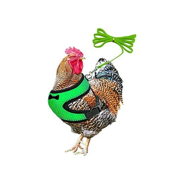 Visland Duck Harness Leash, Fashion Cute Candy Color Wing Design ...