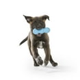 West Paw Zogoflex Rumpus Small 5.25" Dog Toy Aqua - Walmart.com