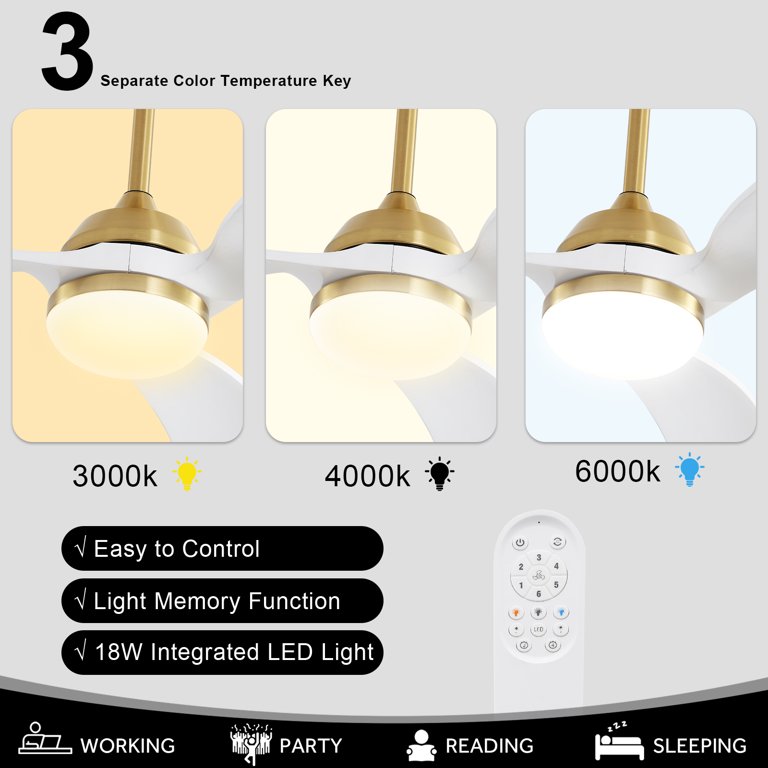 Ceiling Function Character | Shelly Lighting