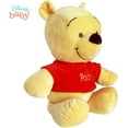 Winnie The Pooh Plush Floppy Teddy Bear Crinkle Texture Ears Huggable ...