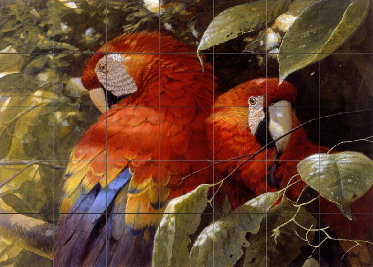 Tile Mural Kitchen Backsplash - Macaw Pair - by John Seerey-Lester ...