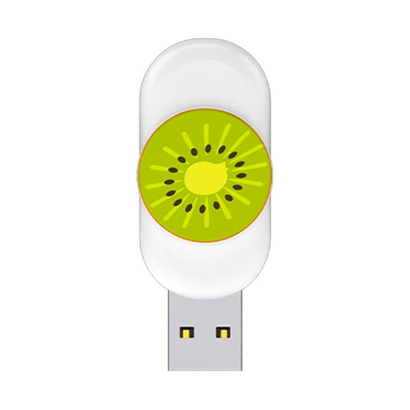 1 Terabyte Flash Drive