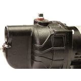 WAYNE SWS100-1 HP Cast Iron Shallow Jet Well Pump - Up to 513 Gallons ...