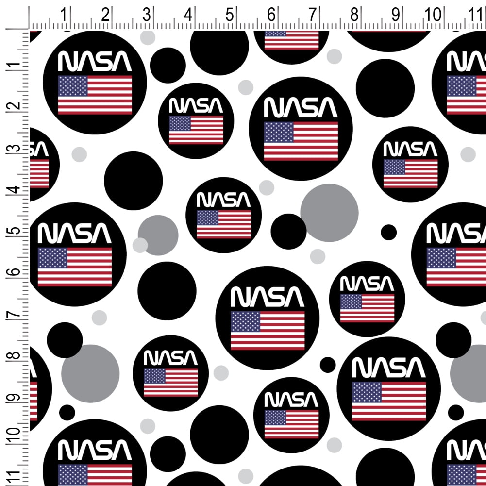 Usa Nasa Logo Vertical