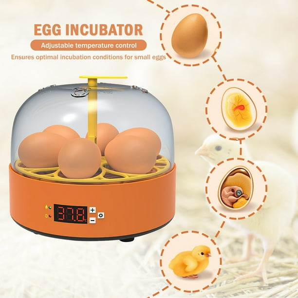 Clairlio 6 Egg Incubator 15W Bird Quail Chicken Hatcher Turner Hatching ...