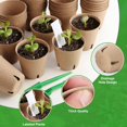 120 Pack 3.15 Inch Peat Pots Plant Starters for Seedling Herb Seed ...