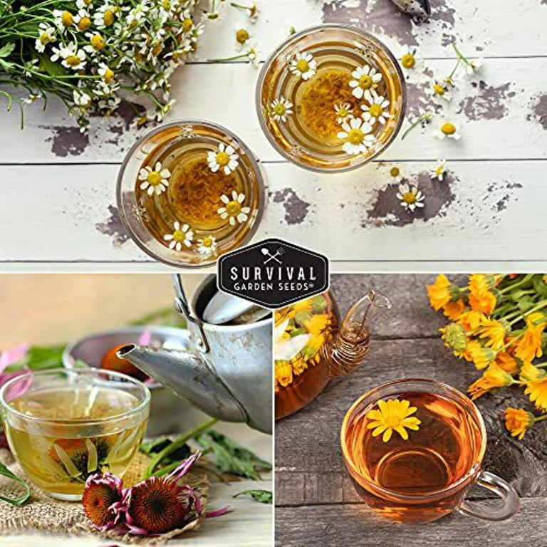Yarrow Herb Tea