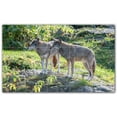 Picture-Tiles.com: Wolf Ceramic Tile Wall Mural WAL501236-53XL. 60"W x ...