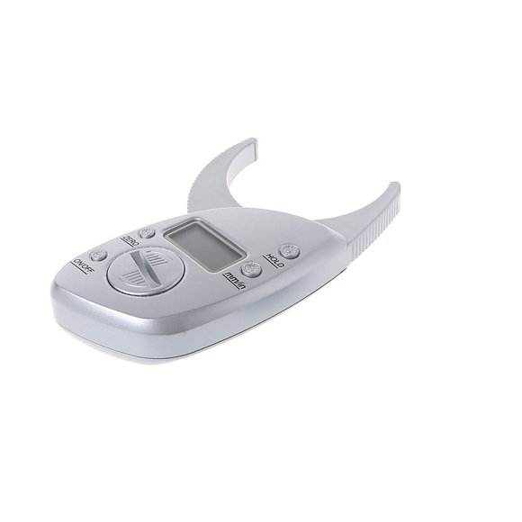 Body Fat Muscle Measurement