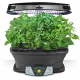 Miracle-Gro AeroGarden Fresh Tea 7-Pod Seed Kit - Walmart.com