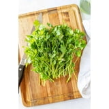 Fresh Green and Vibrant Cilantro, Bunch - Walmart.com