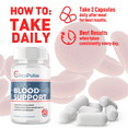 CircuPulse Blood Support Pills Advanced Formula Vitamin Supplement ...