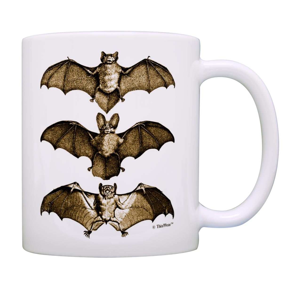 ThisWear Creepy Halloween Decor Vintage Retro Anatomical Bats Ceramic ...