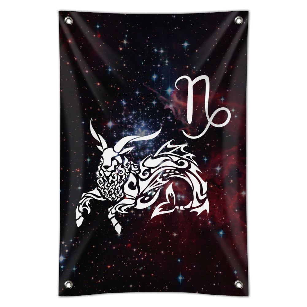 Capricorn Fish Goat Zodiac Sign Horoscope in Space Home Business Office ...