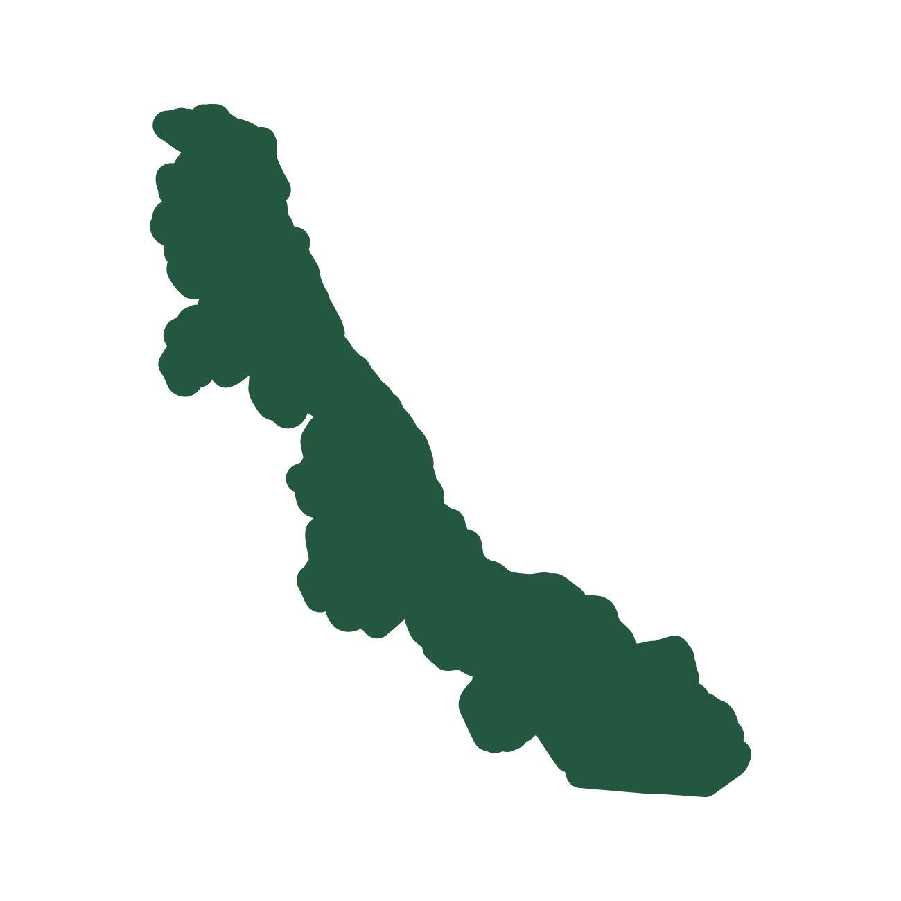 Veracruz State Shaped Sticker Decal Die Cut - Self Adhesive Vinyl - Weatherproof - Made in USA ...