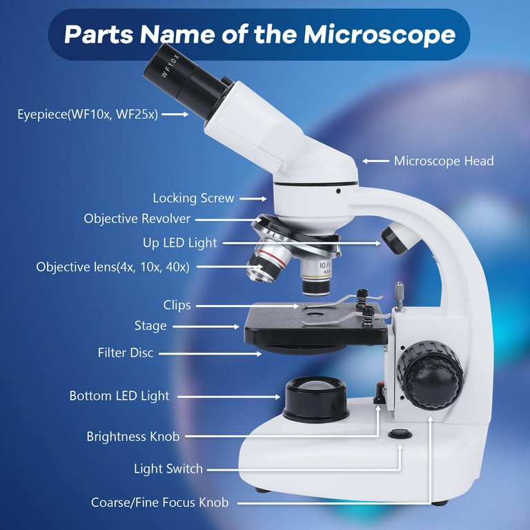 1000x Microscope Diagram