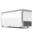70 in. 12 Tub Ice Cream Dipping Cabinet Display Freezer with Sliding ...