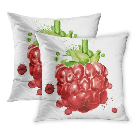 BOSDECO Red Watercolour Watercolor of Raspberry Paint Blots on Berry ...