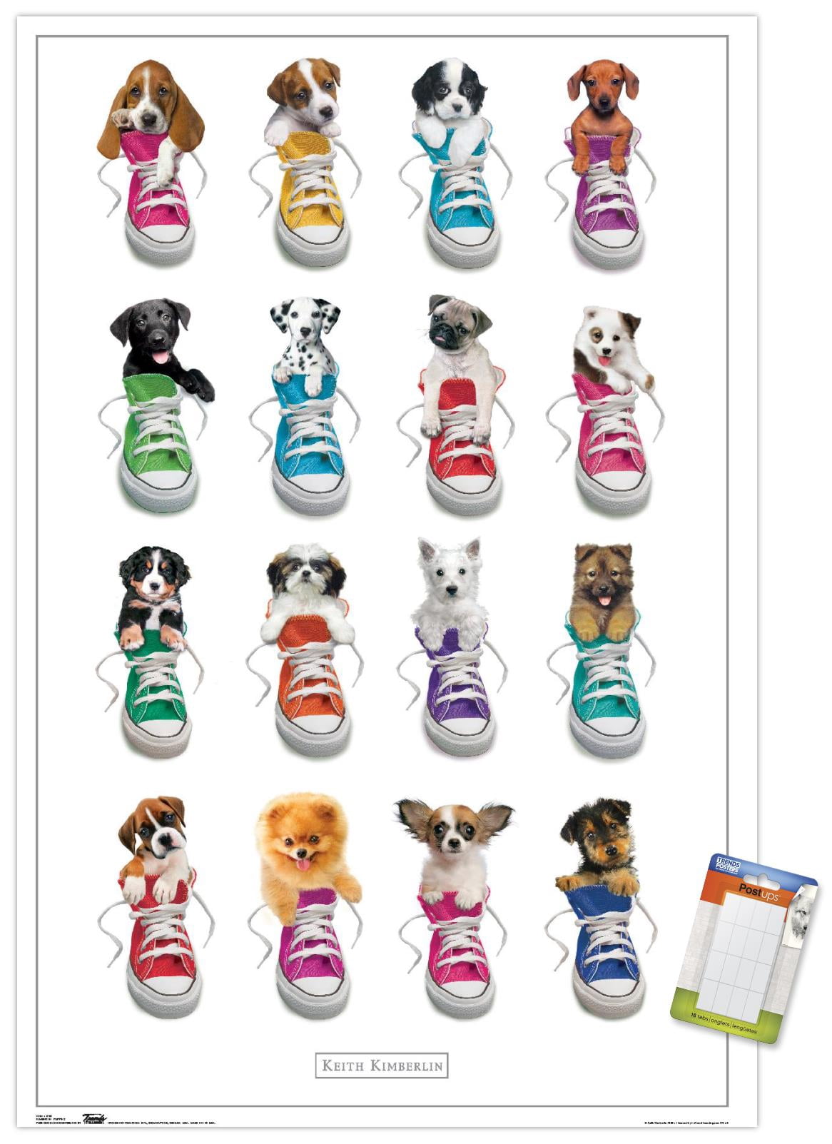 Keith Kimberlin - Puppies Premium Poster and Poster Mount Bundle ...