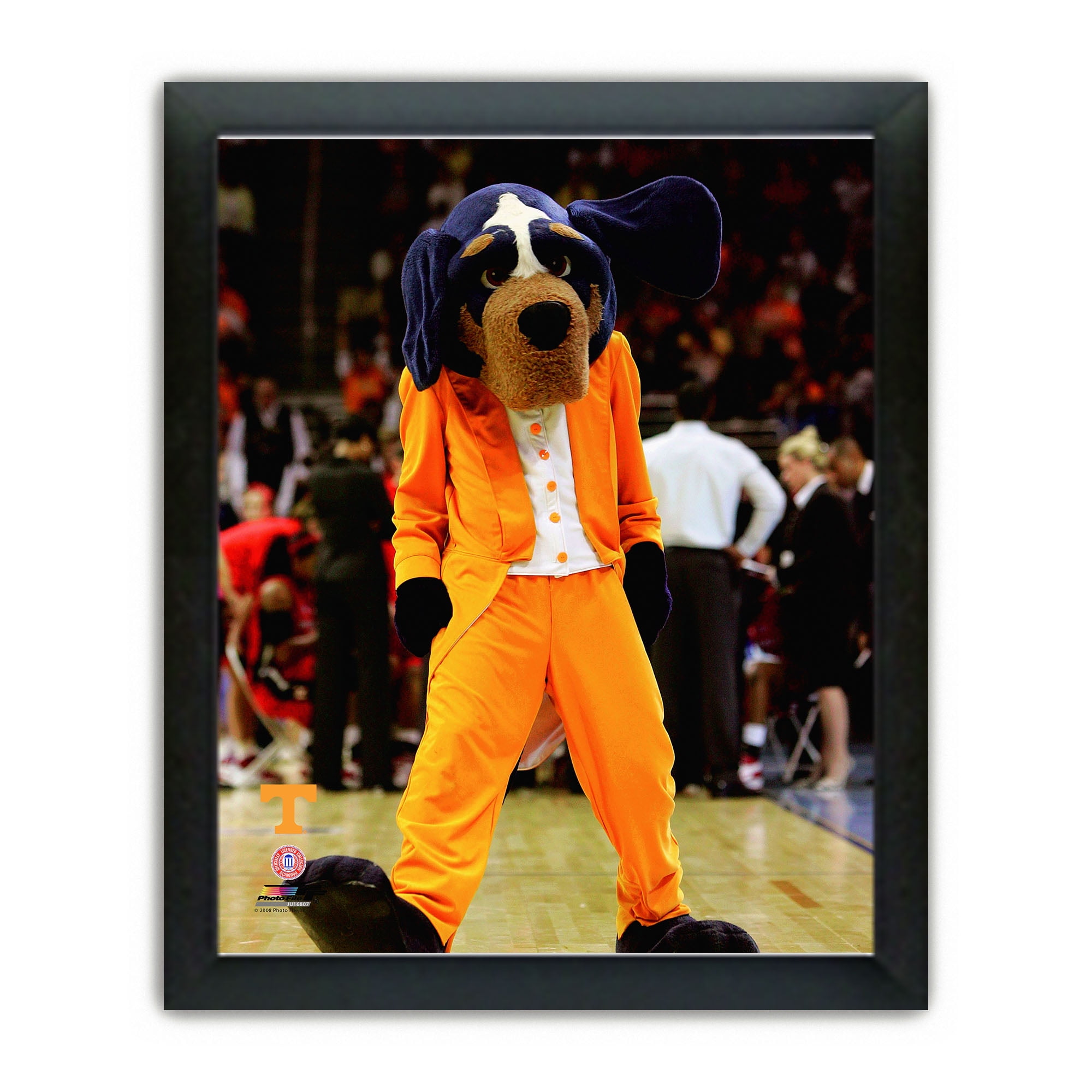 Smokey, University of Tennessee Volunteers Mascot 2007 18"x22" Framed ...