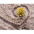 Rugs.com Botanical Shag Collection Rug – 5' x 8' Light Brown Shag Rug ...