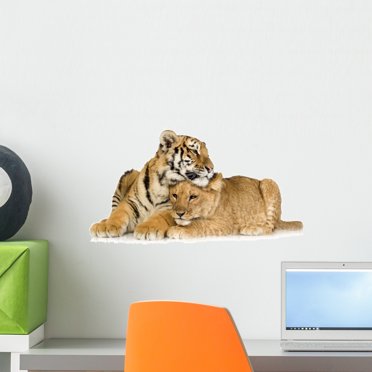 White Tiger Cub 2 Wall Decal by Wallmonkeys Peel and Stick Graphic (36 ...