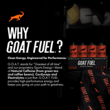 G.O.A.T. Fuel Sports Energy Drink, Watermelon Fruit Punch, 12-oz ...