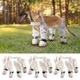 Anti Dirt Pants for Dog Outdoor Dust Proof Dog Pants Dogs Boot with ...