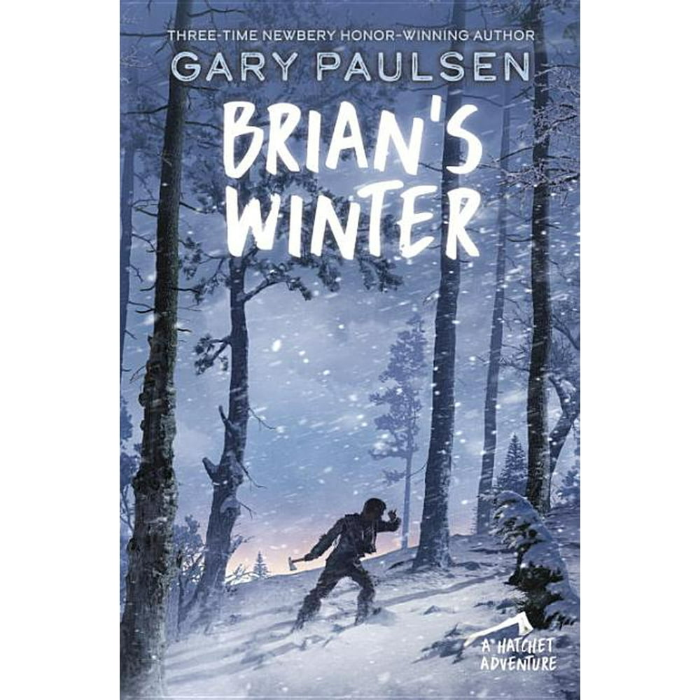 Brian's Winter (Paperback) - Walmart.com - Walmart.com