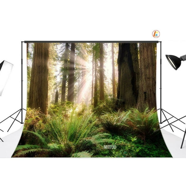 7x5ft Virgin Forest photography Backdrop Background studio prop ...
