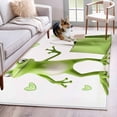 Abstract Animal 3x5 Rug for Bedroom Foot of Bed Small Living Room, Frog ...